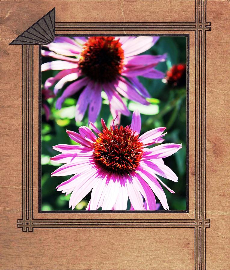 Ruby Star Coneflowers Photograph by Mark Szep - Fine Art America