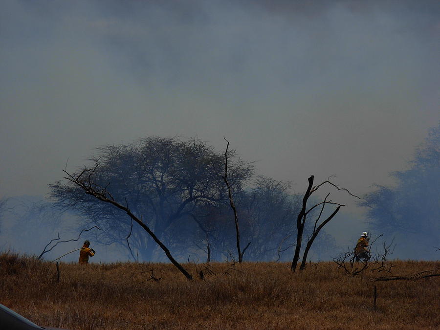 Run Photograph by Iris Chamberlain - Fine Art America