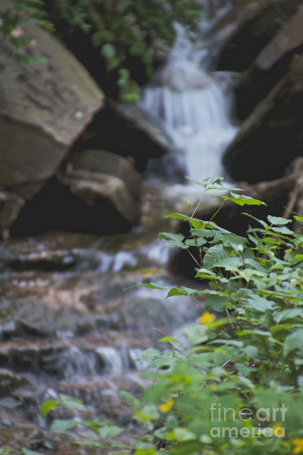 Running Water Photograph by William Norton - Fine Art America