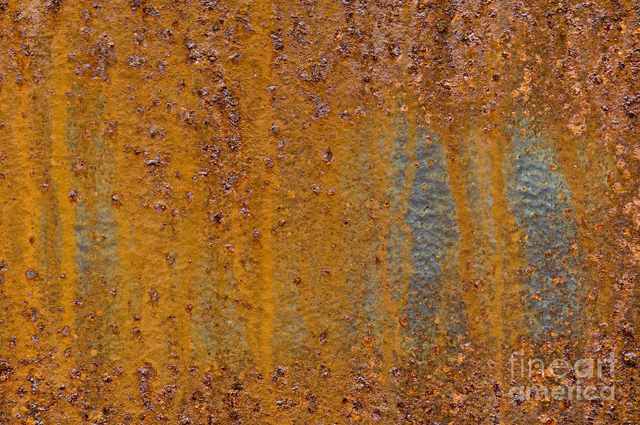 Rust Photograph by John Shaw - Fine Art America
