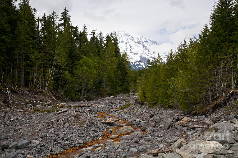 Rust River Photograph by Robert Talbot | Fine Art America