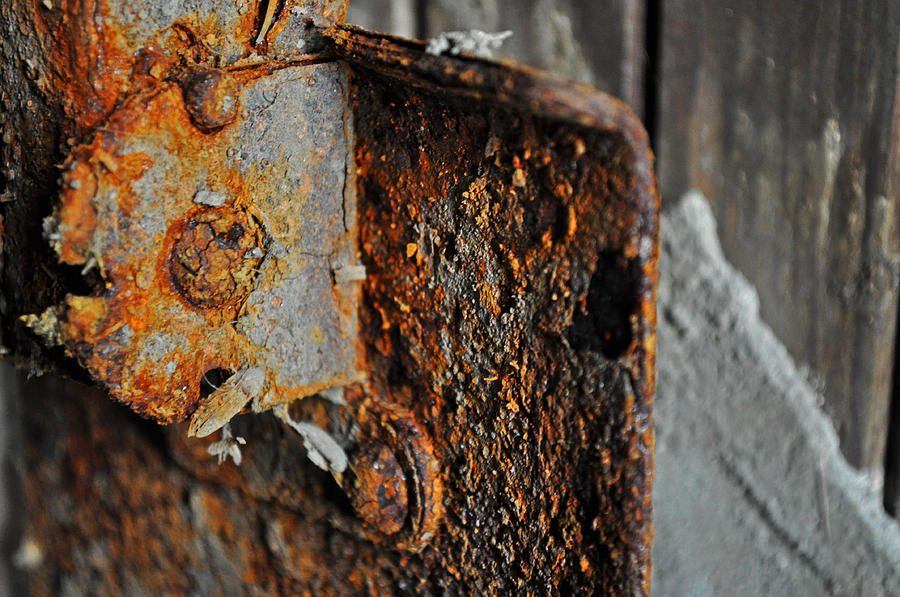 Rusted Photograph by Lydia Endicott - Pixels