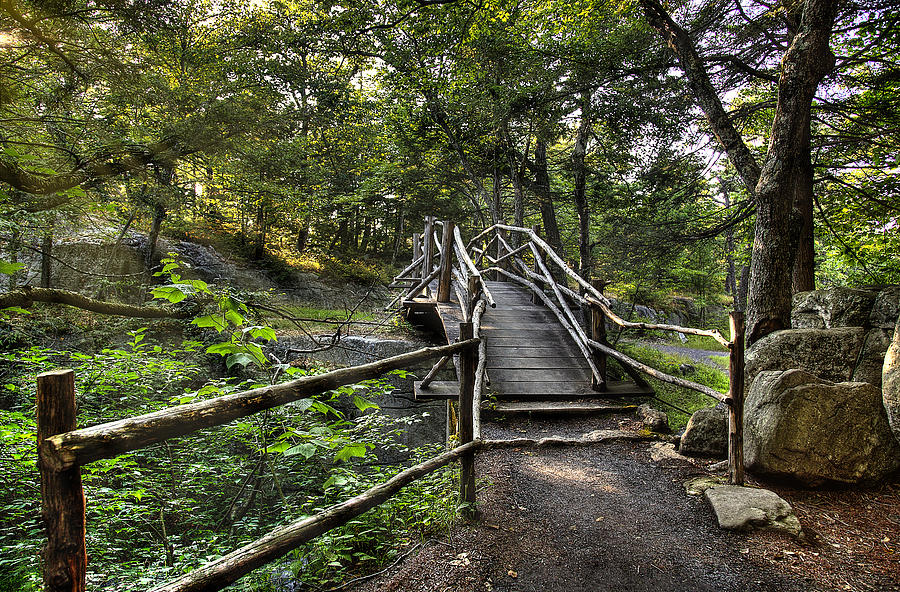 Rustic Bridge Photograph by George Argento - Fine Art America