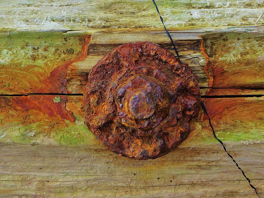 Rusty Bolt Photograph by Forrest Munger - Fine Art America