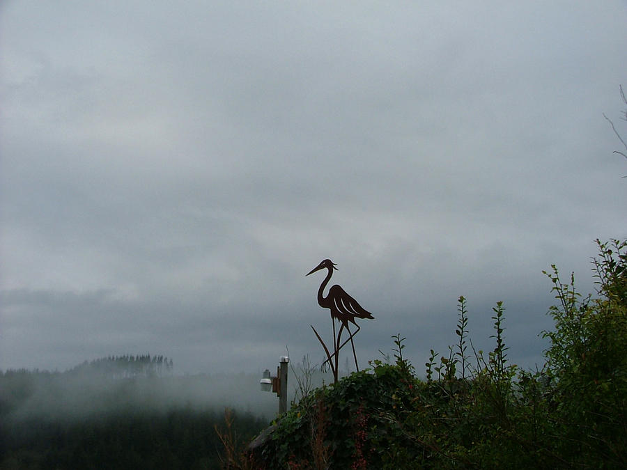 Rusty Crane Photograph by Robin McCarthy - Fine Art America