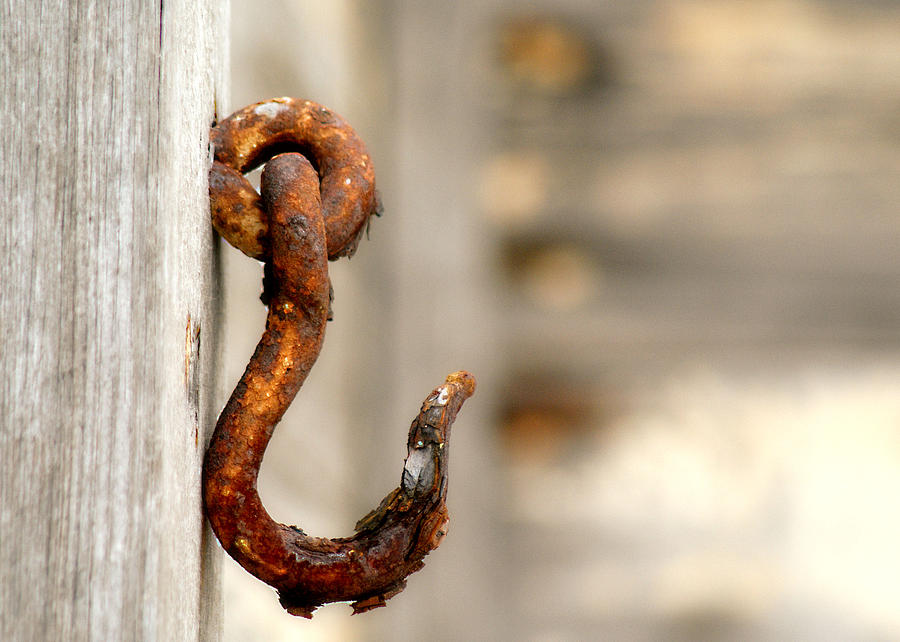Rusty Hook Photograph by Javier Correa