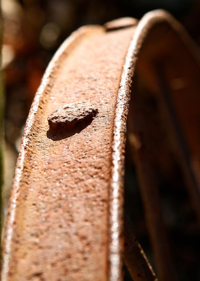 Rusty Wheel Photograph by Michael Barbee - Fine Art America