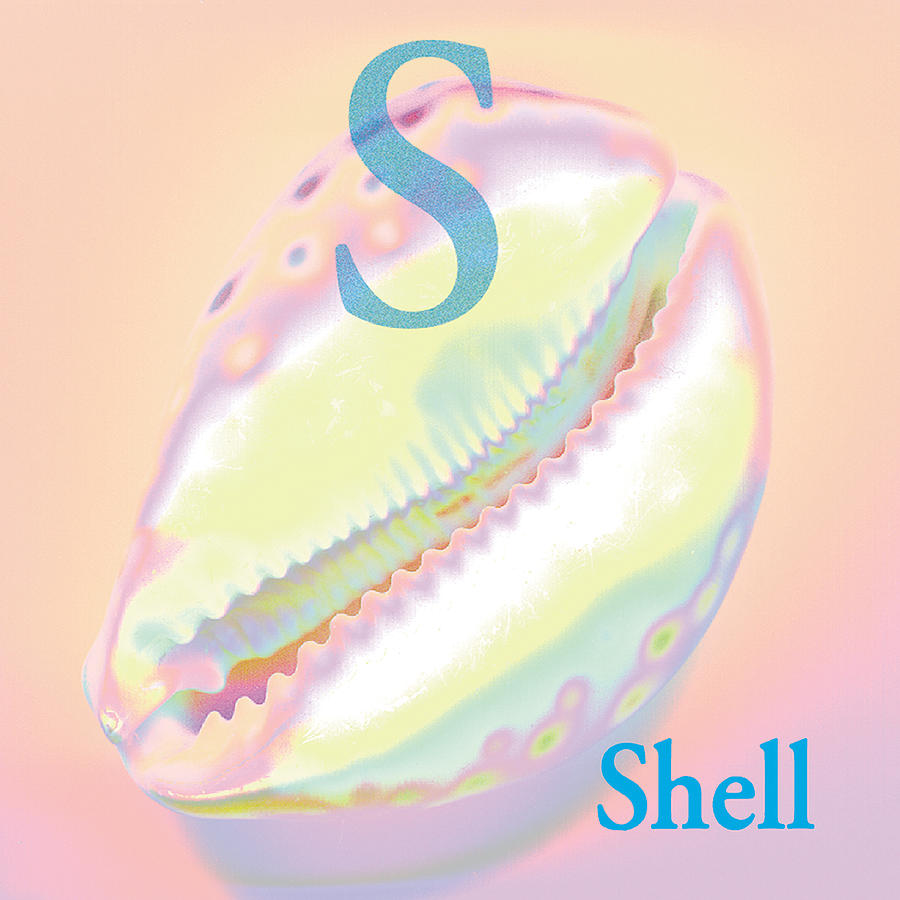 S for Shell Photograph by David J Plank | Fine Art America