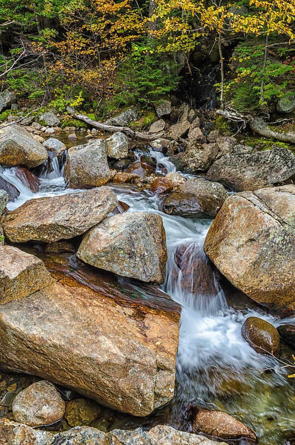 Sabbaday Brook 1 Photograph by Jonathan Ramsdell - Fine Art America
