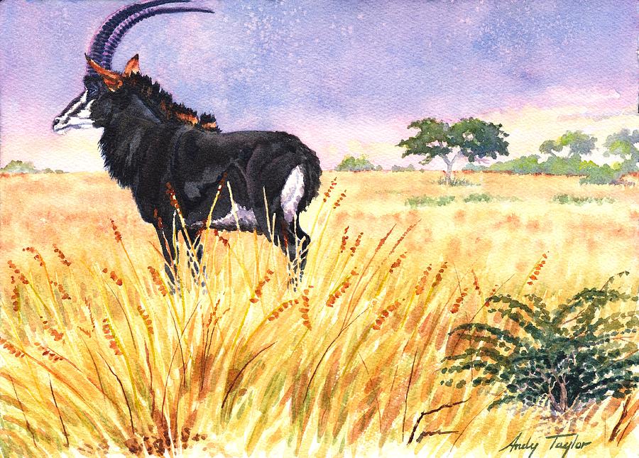 Sable Painting by Andy Taylor - Pixels