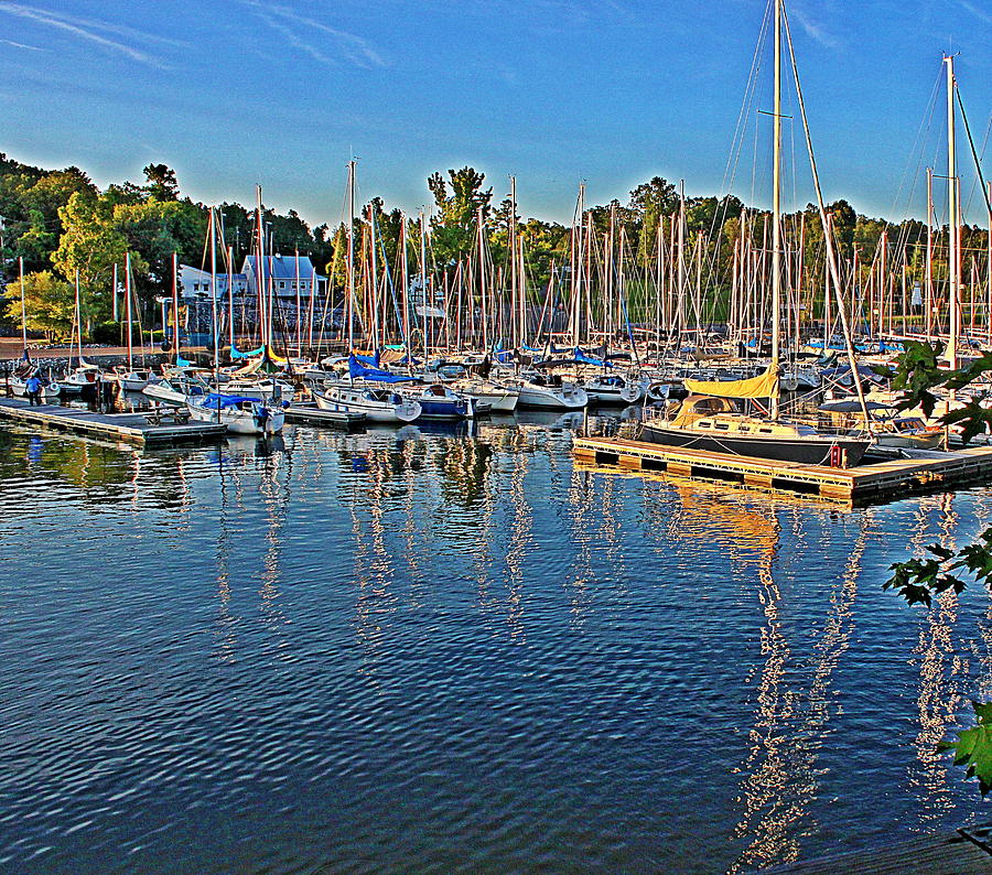Sailing Photograph by Michael Barbee - Fine Art America