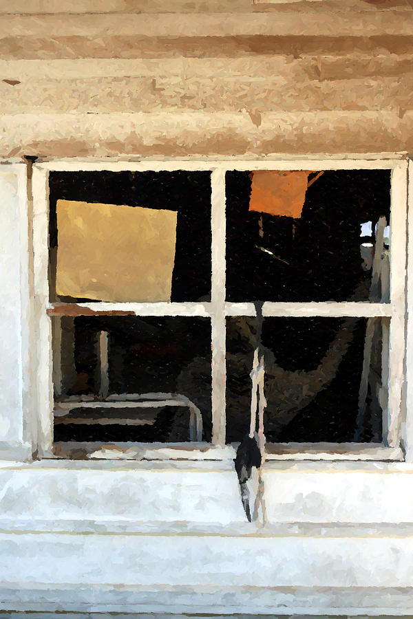 Saloon Windows Photograph by Doc Braham | Fine Art America