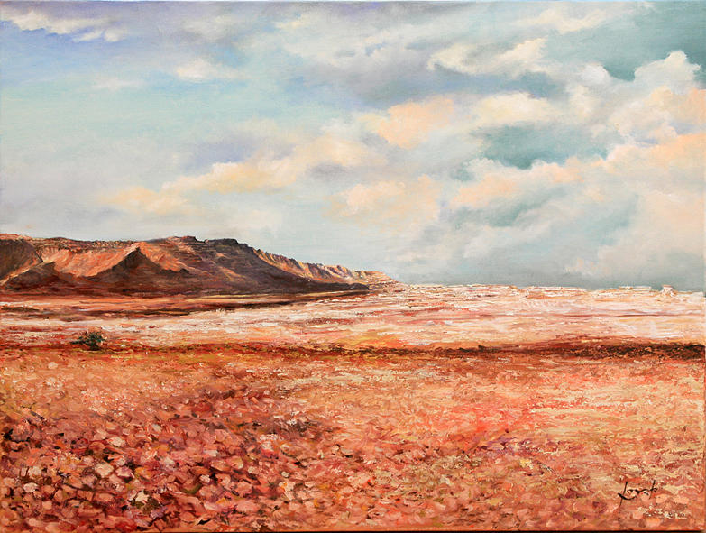 Salt Fields Painting by David Cohen - Fine Art America