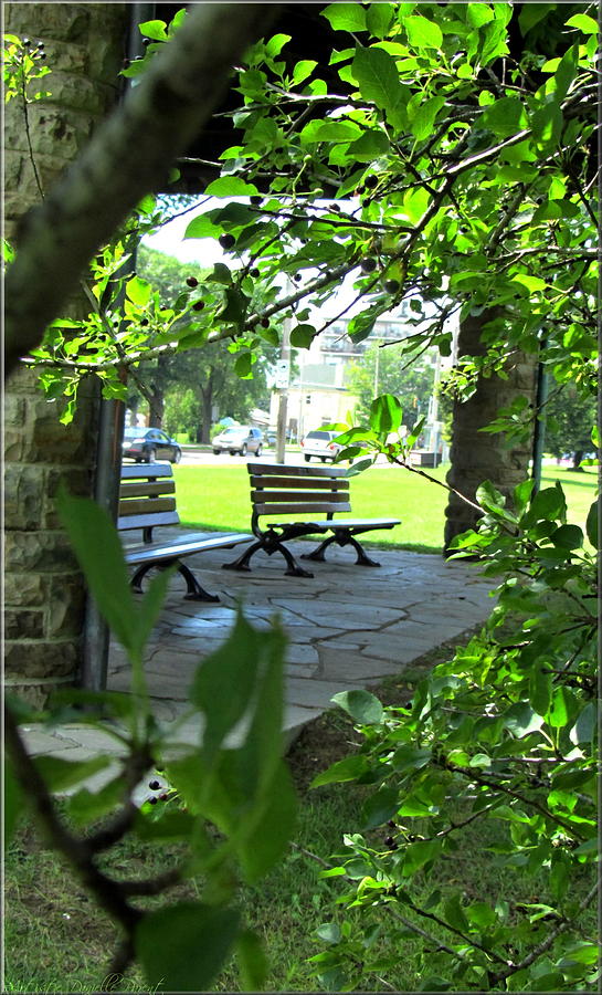 Sam Lawrence Park Hamilton 2 Photograph by Danielle Parent - Fine Art ...