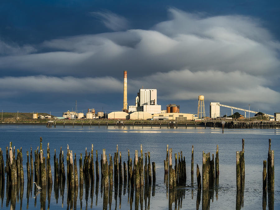 Samoa Pulp Mill Photograph by Greg Nyquist | Pixels