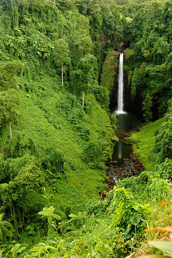 Samoan Waterfall Photograph by Marc Levine - Fine Art America