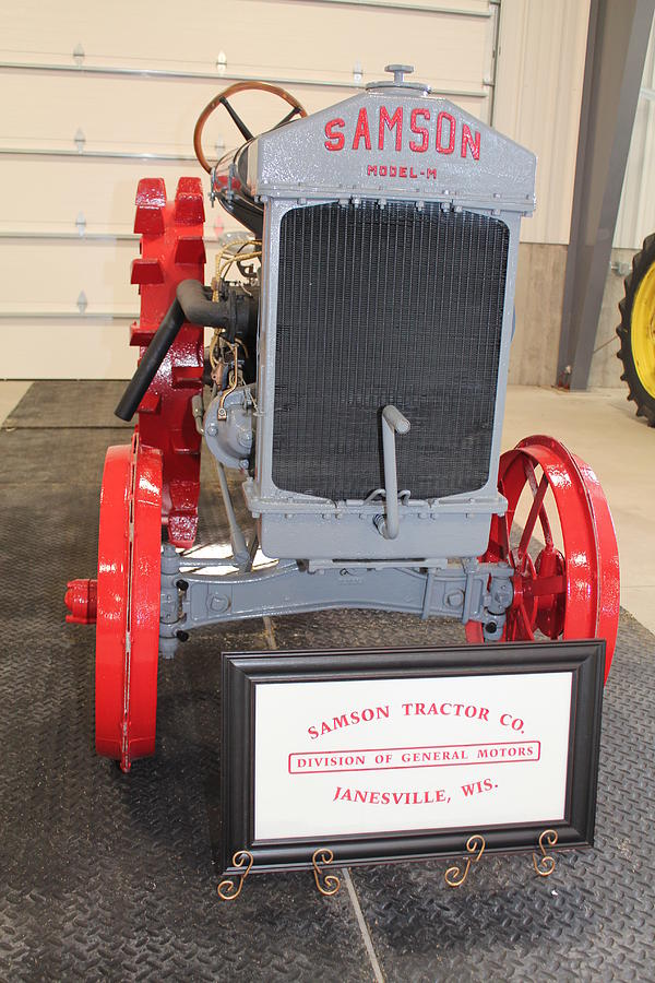 Samson M Photograph by Nelson Skinner - Pixels