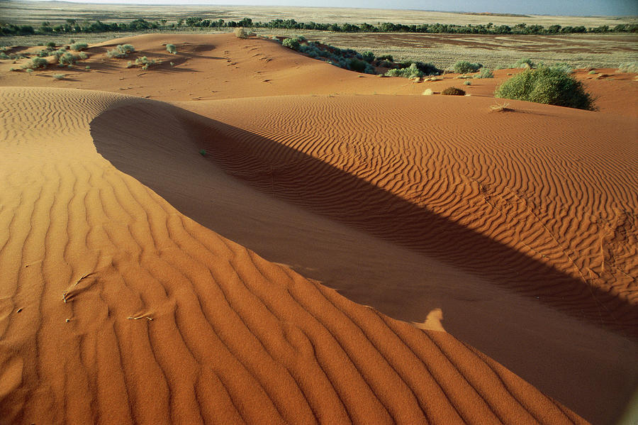 Lake Sturt Stony Desert Australia