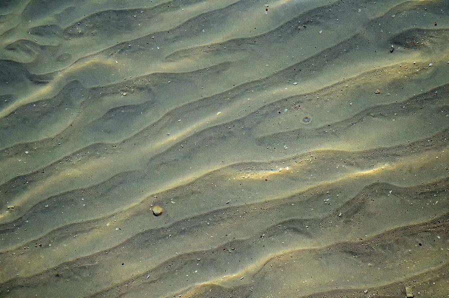 Sand Grooves Photograph by Michele Stoehr - Fine Art America