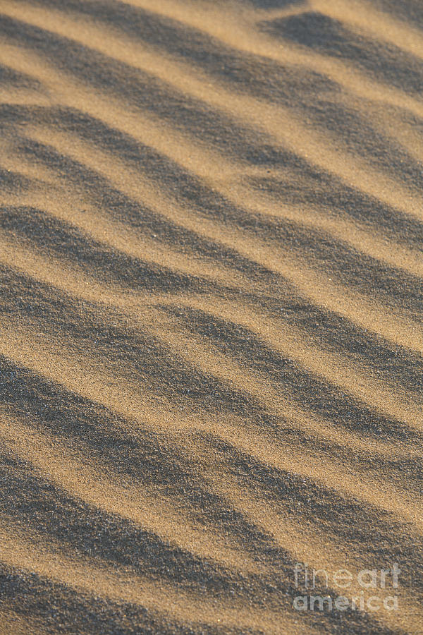 Sand Pattern Photograph by John De Mello - Fine Art America