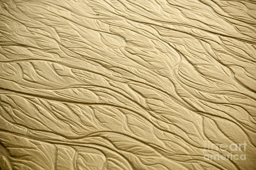 Sand Patterns Photograph by THP Creative - Fine Art America