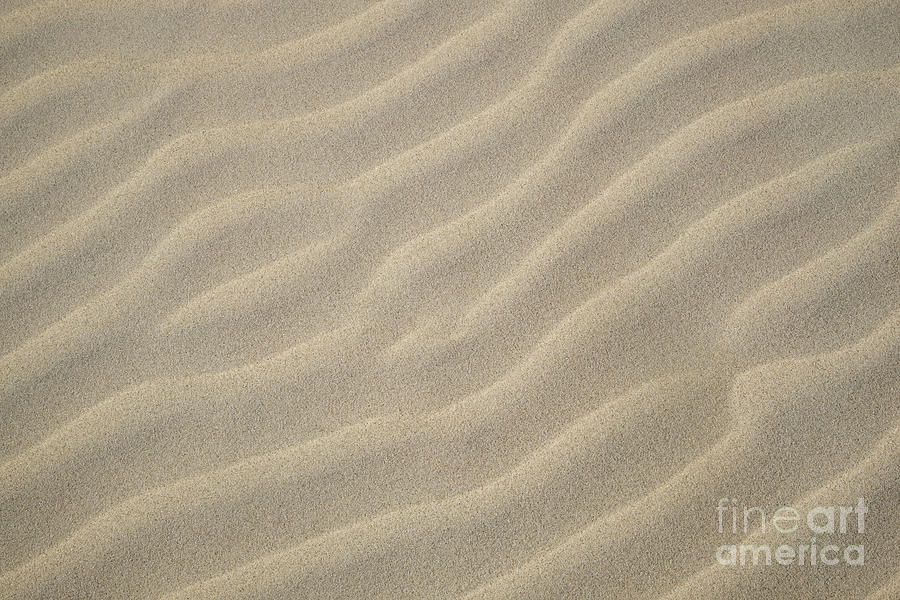 Sand Ripples Photograph by Greg Dimijian - Fine Art America