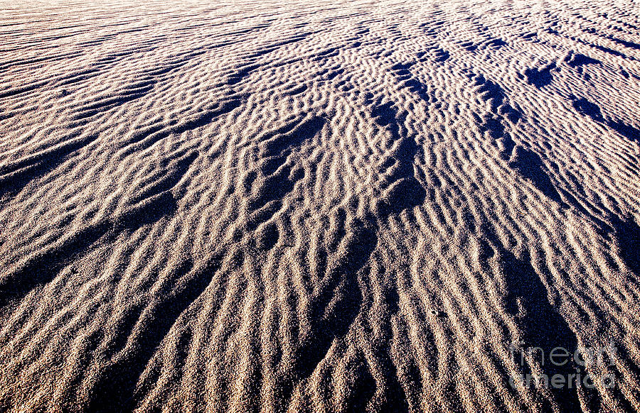 Sand Waves Photograph by Charles Dobbs - Fine Art America
