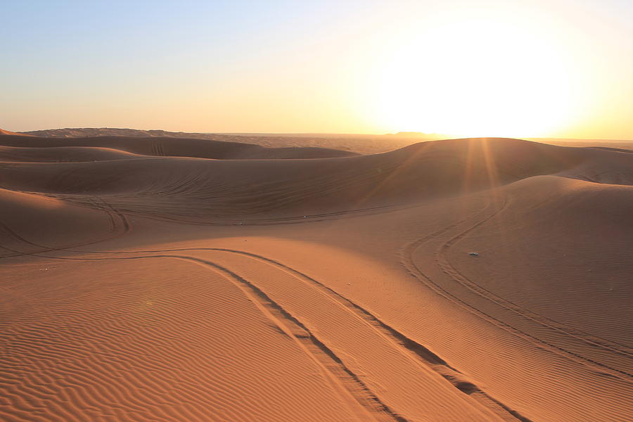 Sandscape Photograph by Mark Charters - Fine Art America