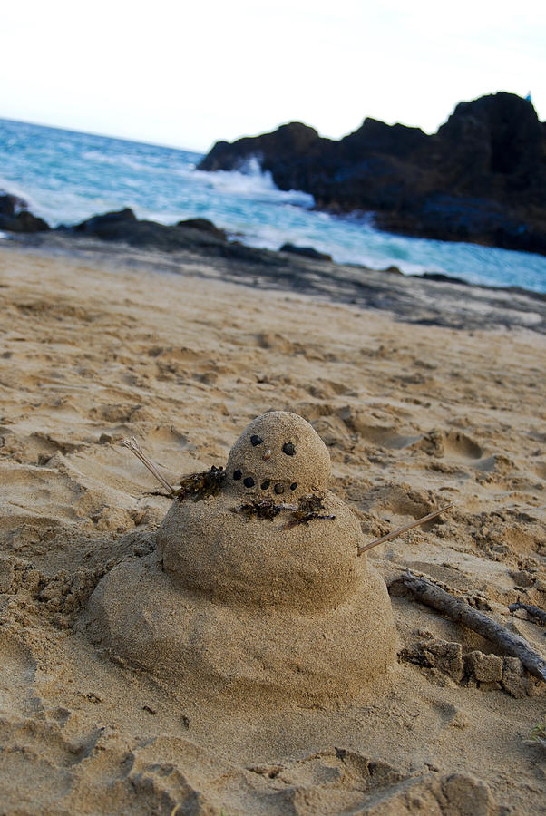 Sandy Claus Photograph by John Robert Cole - Fine Art America