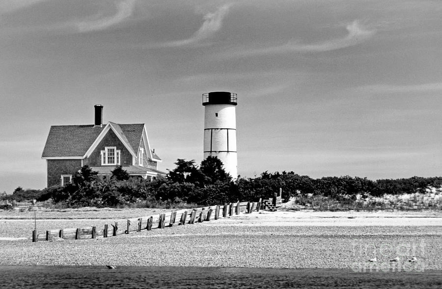 Sandy Neck Cape Cod Photograph by Skip Willits - Fine Art America