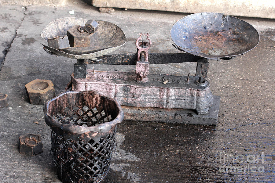 Scale for fish Photograph by Afli Sam - Fine Art America