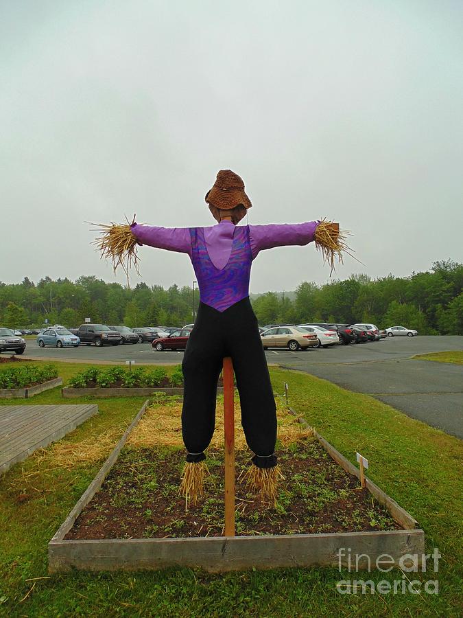 Scarecrow Photograph by John Malone - Pixels