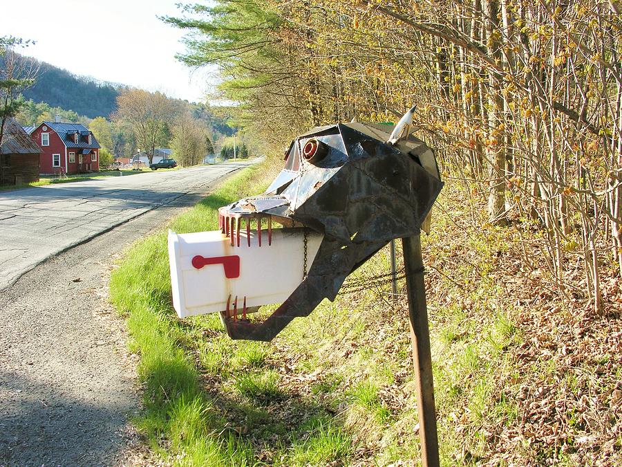 Scary mailbox Photograph by Sherman Perry - Fine Art America