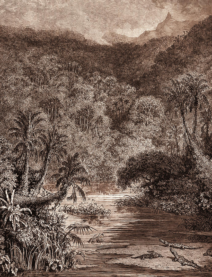 Scenery On The Mississippi Drawing by Litz Collection | Fine Art America