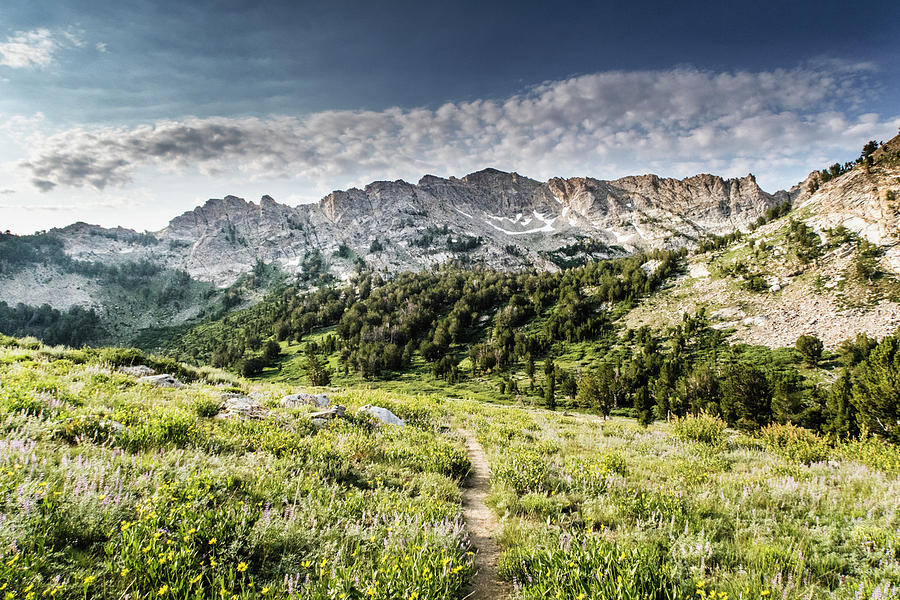Scenery With Ruby Mountains And Meadow Photograph by Ron Koeberer ...