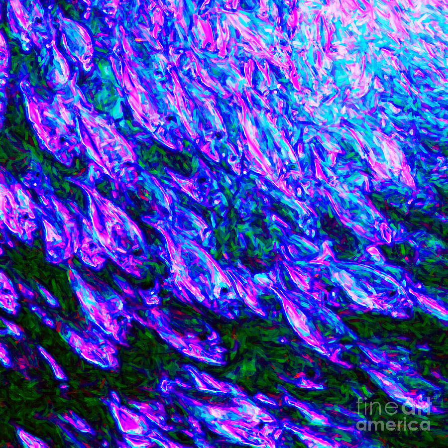 School of Fish - Square Photograph by Wingsdomain Art and Photography ...