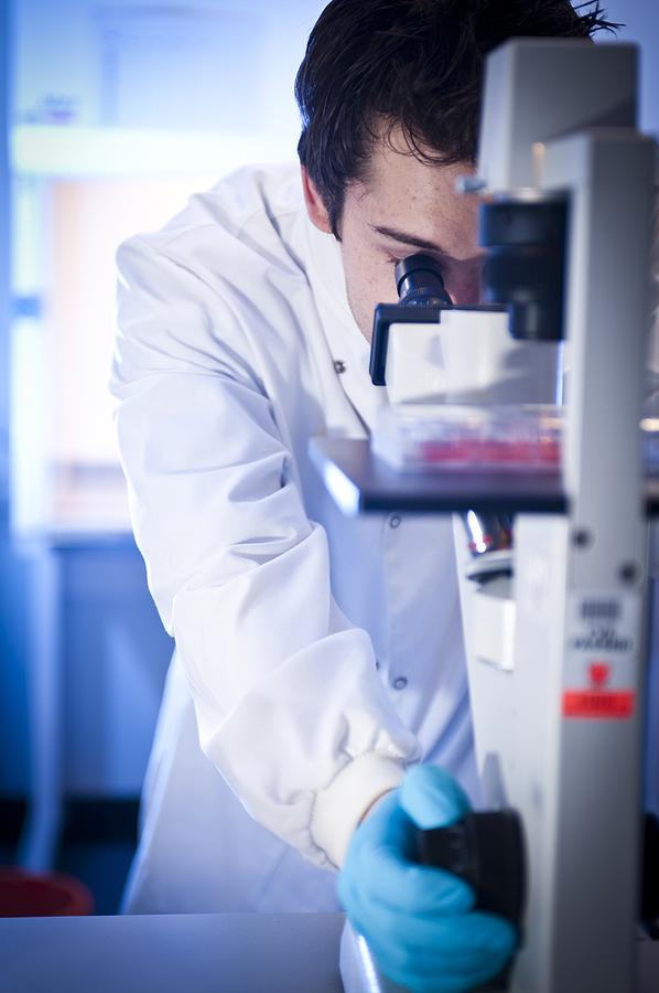 Scientist using a microscope Photograph by Science Photo Library - Fine ...