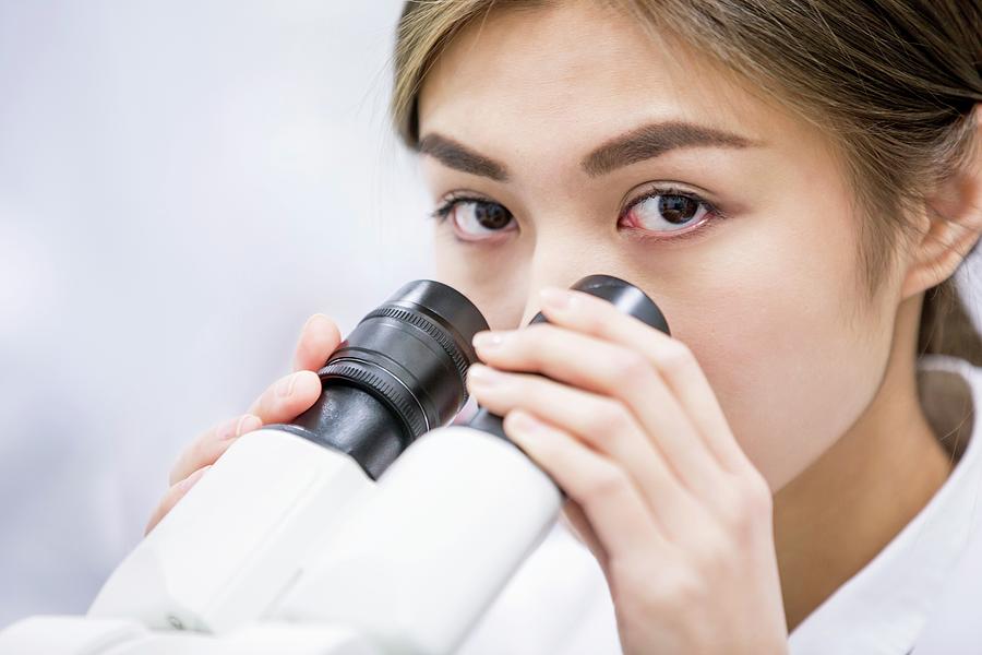 Scientist Using Microscope Photograph by Science Photo Library | Pixels