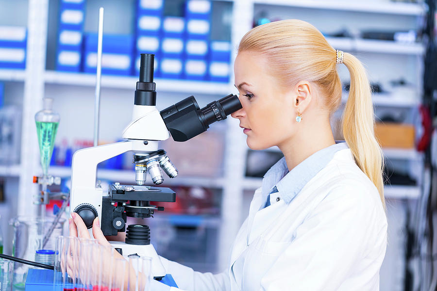 Scientist Using Microscope Photograph by Wladimir Bulgar/science Photo ...