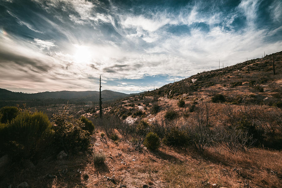 Scorched earth Photograph by Patrick Weldon - Fine Art America