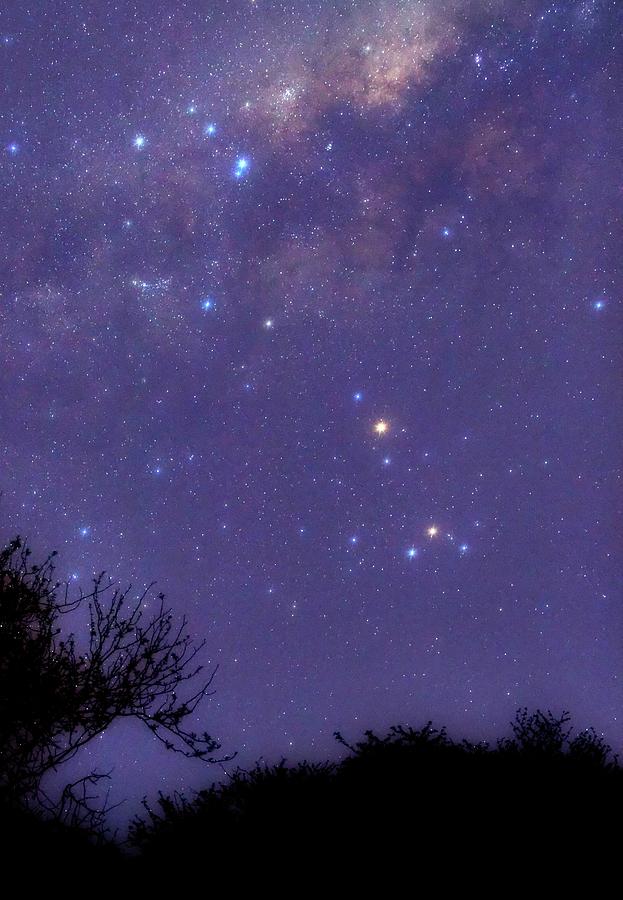Scorpius by Science Photo Library