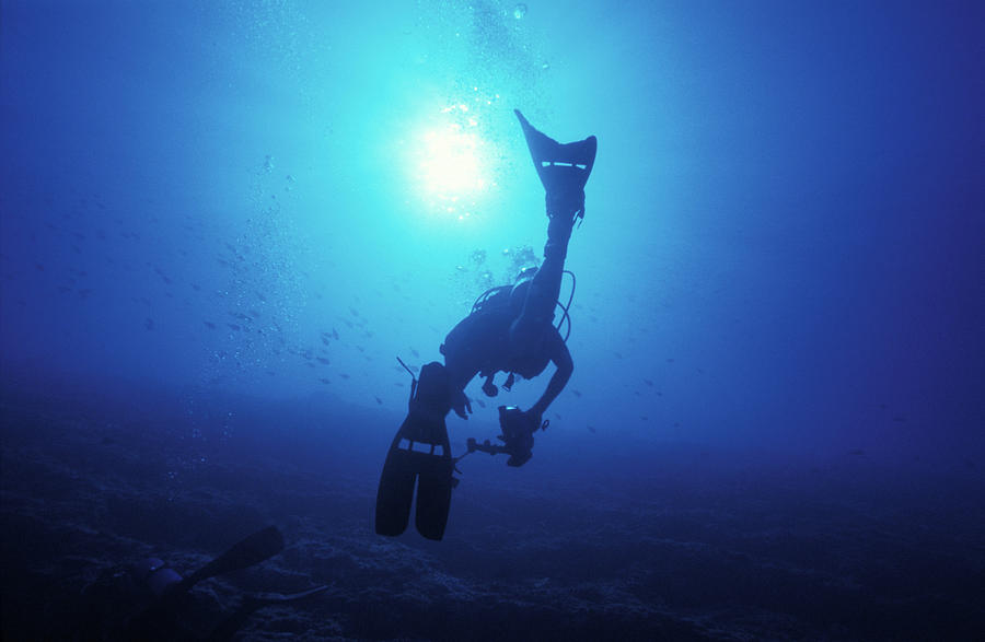 Scuba Diver Below Surface Photograph by Peter McBride - Fine Art America