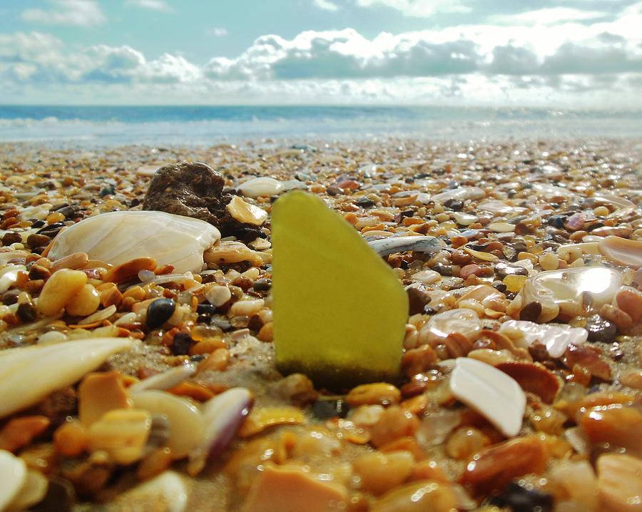 Sea Glass and Shells 4 10/23 Photograph by Mark Lemmon - Fine Art America