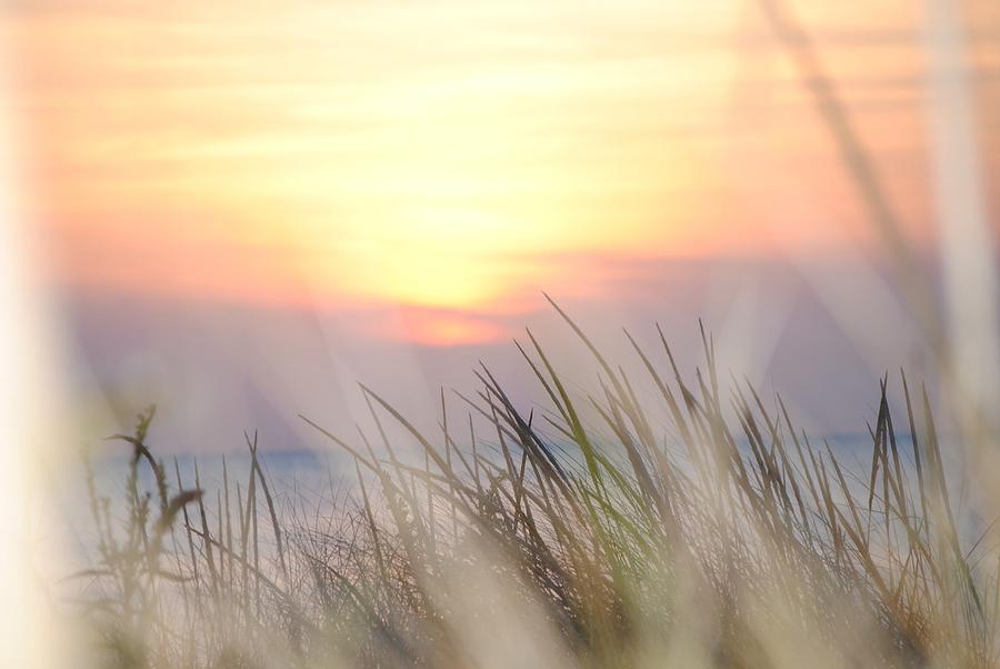 Sea grass sunset Photograph by Carol Brunner - Fine Art America
