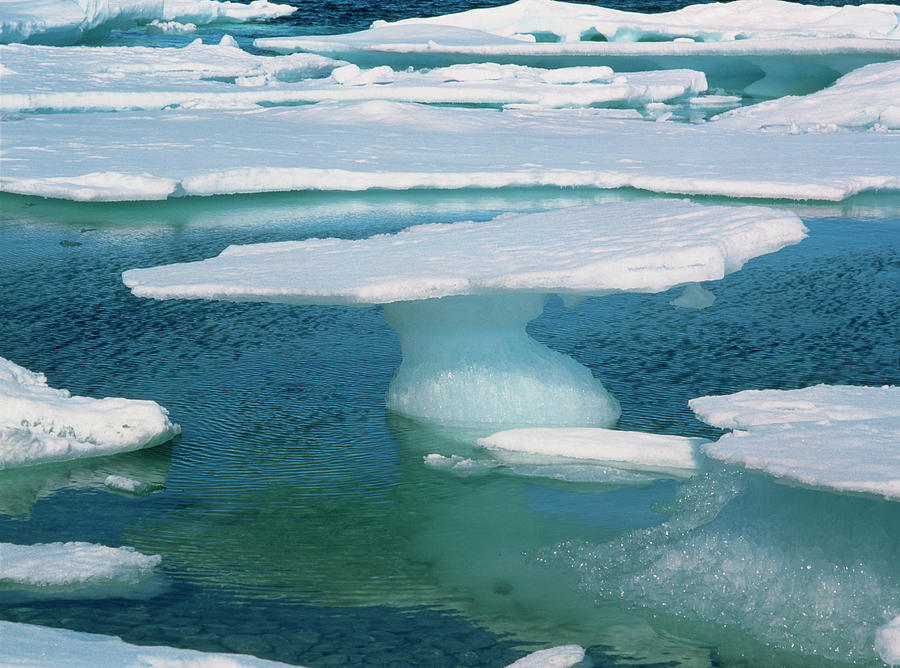 Sea Ice Photograph by Simon Fraser/science Photo Library - Fine Art America