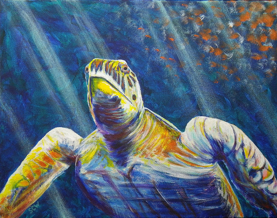 Sea Turtle Painting by Steve Webb | Fine Art America