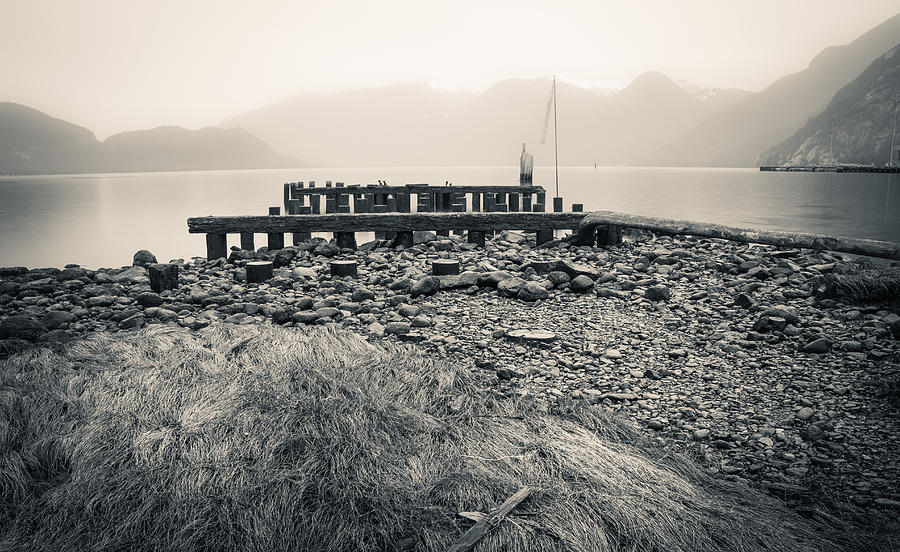Seagrass Photograph by Andreas Weidemann - Fine Art America