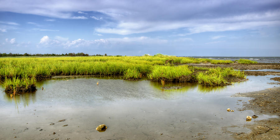 Seagrass Panorama Photograph by Vicki Jauron - Fine Art America