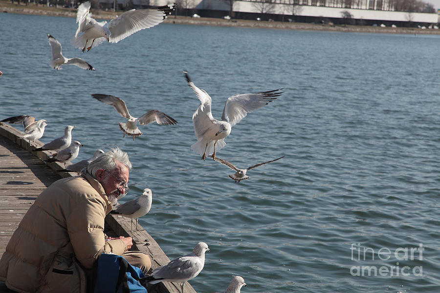 Seagull Man Photograph by Robert Diffenderfer - Fine Art America