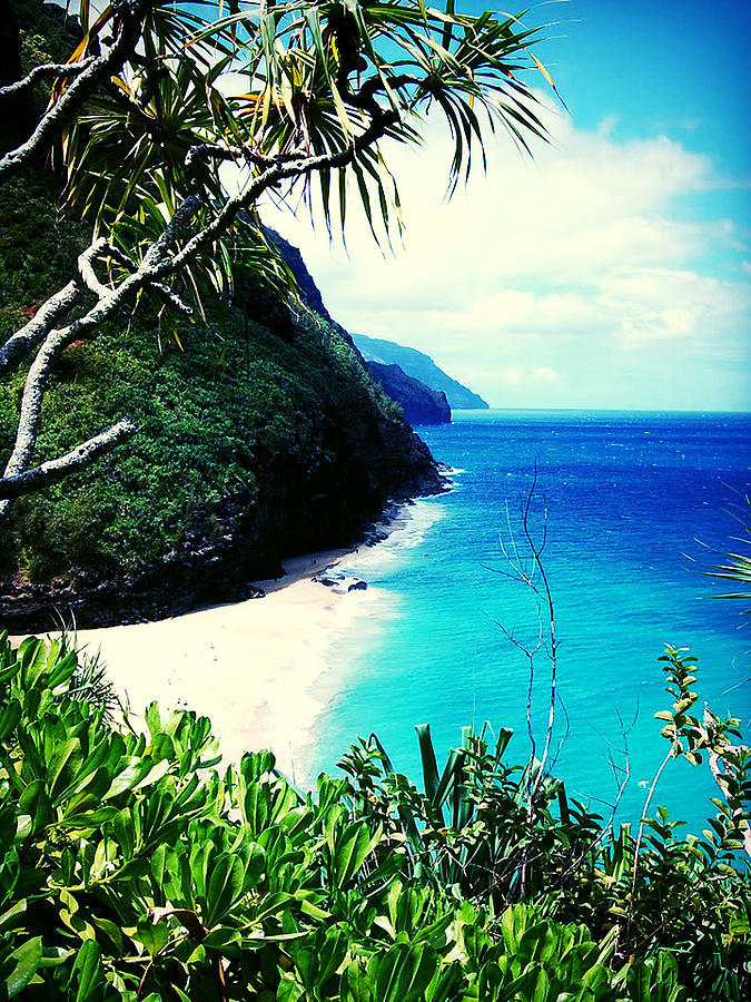 Secluded beach Photograph by Kevin Brown - Fine Art America